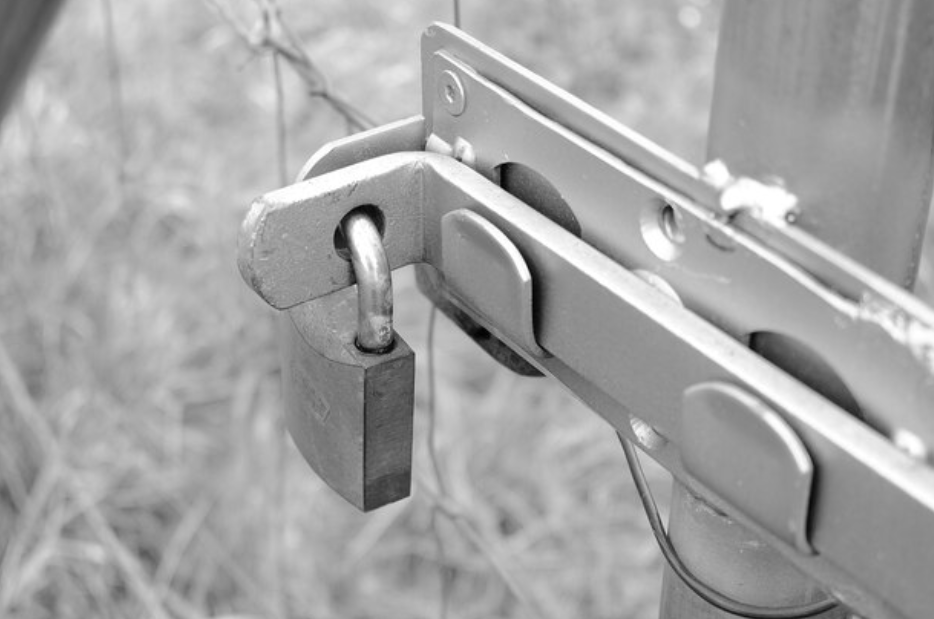 Forged in Time: The Historical Tapestry of Ironmongery Shaping Interio